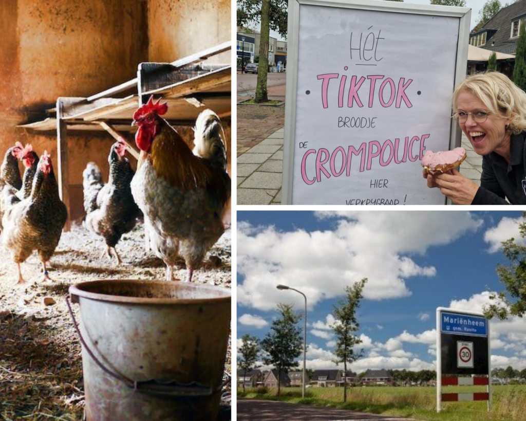 Salland Vandaag: hoofdpunten uit het nieuws van 15 november - Salland1