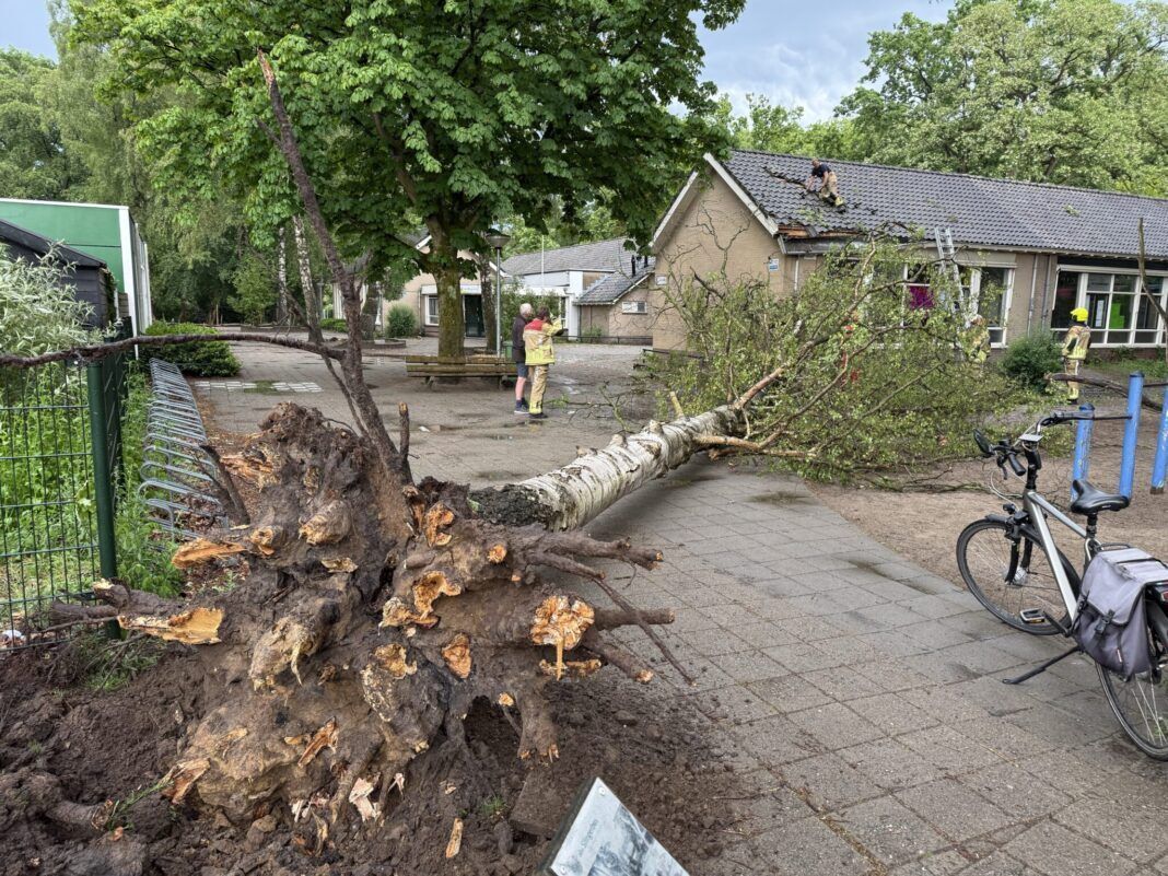 Noodweer in Diepenveen; boom valt op basisschool Slingerbos - Salland1