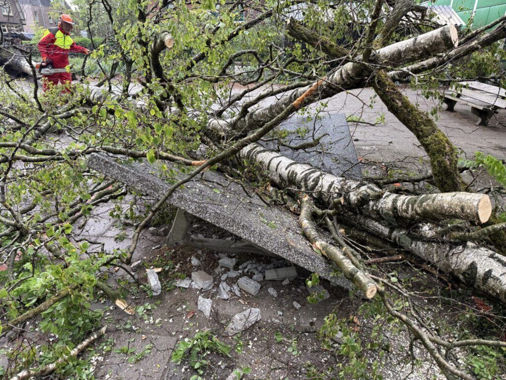 Noodweer in Diepenveen; boom valt op basisschool Slingerbos - Salland1