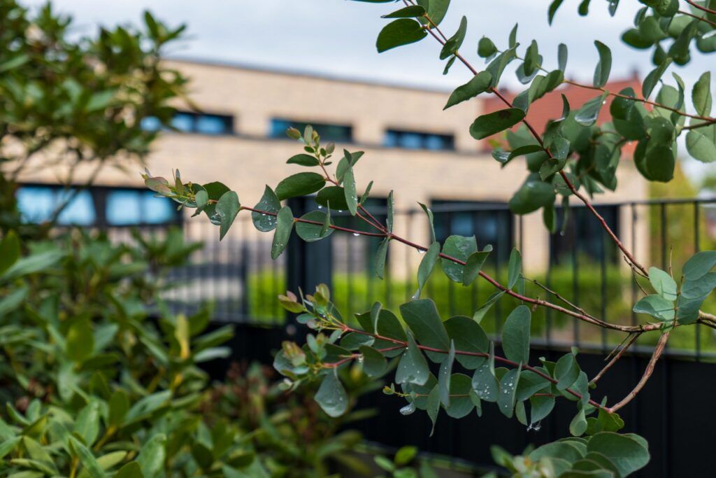 Kijkdag bij nieuwe woonlocatie Erve Steenbruggen in Olst - Salland1